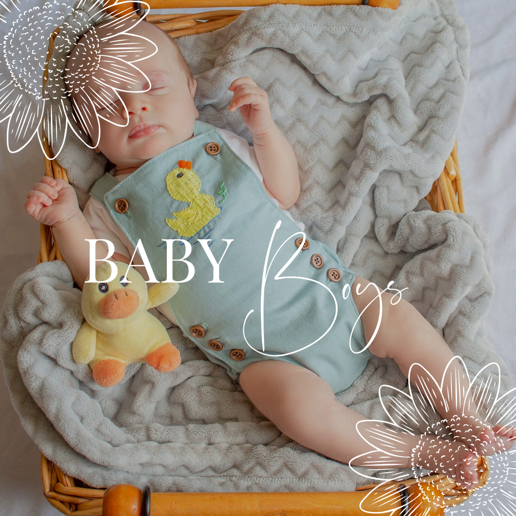 Collections – Sunflower Seams